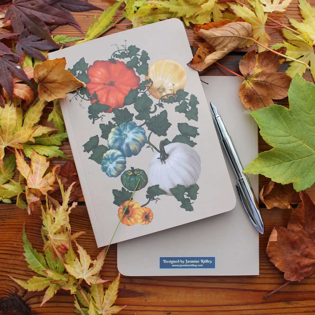 Shop Art Prints, Illustrated Stationery & Gifts | Jasmine Ridley